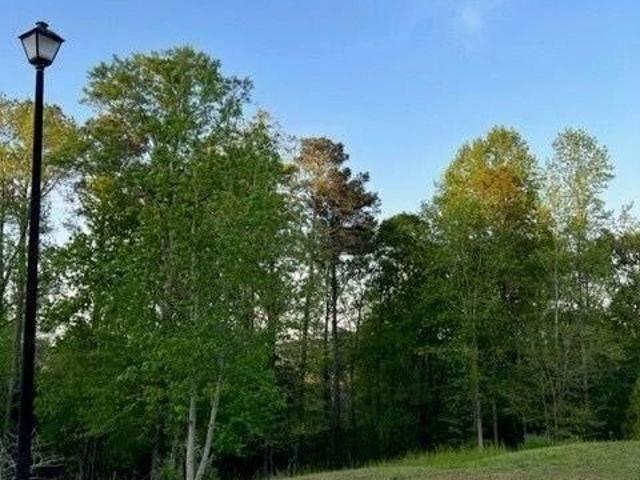 1628 Alcovy Ridge Crossing