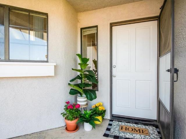 1629 Alexander