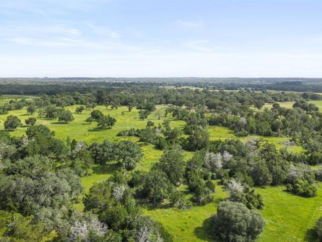 16204 Newberg Rd, Cat Spring, TX 78933