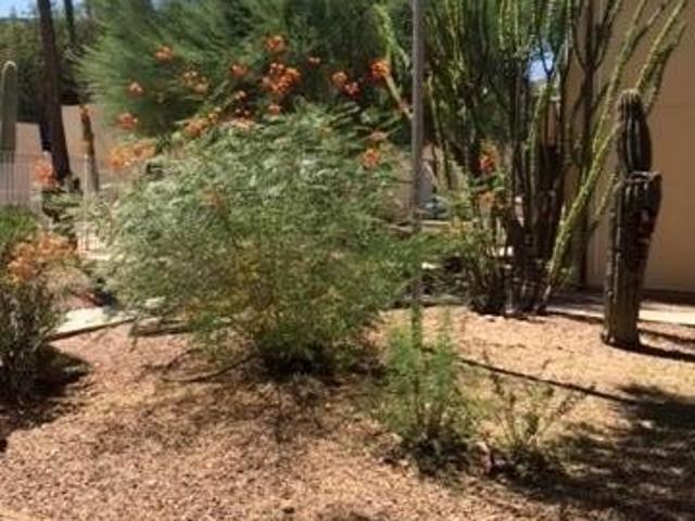 1620 N Wilmot Rd Unit E150, Tucson, AZ 85712