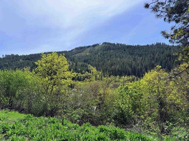 1620 Forsman Ave, Orofino, ID 83544