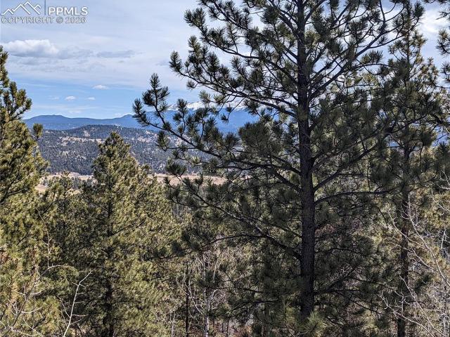 1620 Park Ridge Dr, Florissant, CO 80816 | MLS #5541