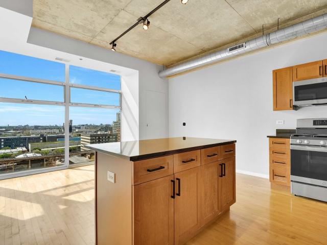 1620 S Michigan Avenue # 1117
