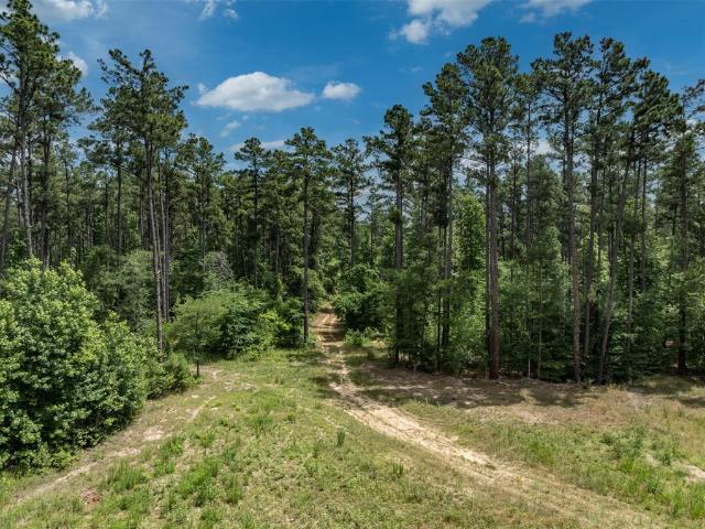 16210 State Highway 110 N