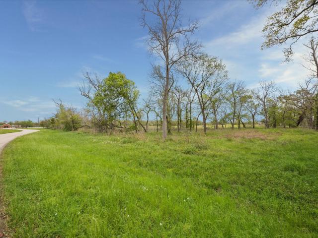 16219 Tankersley Drive
