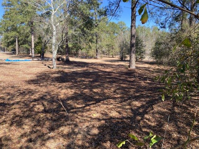 1621 N Pine Ridge Dr, Hephzibah, GA
