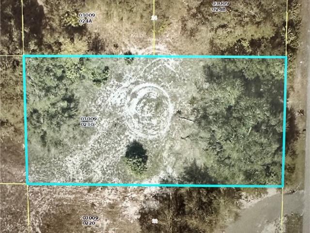 1621 Canton Ave, Lehigh Acres, FL 33972 | MLS #2025008