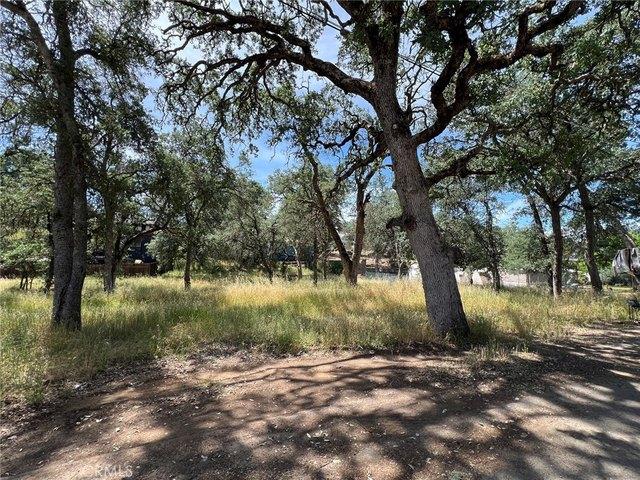 1621 th Ave, Clearlake, CA 95422