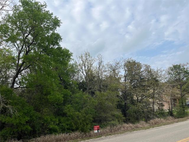 162 164 W Kaanapali Ln, Bastrop, TX 78602 | MLS #8949
