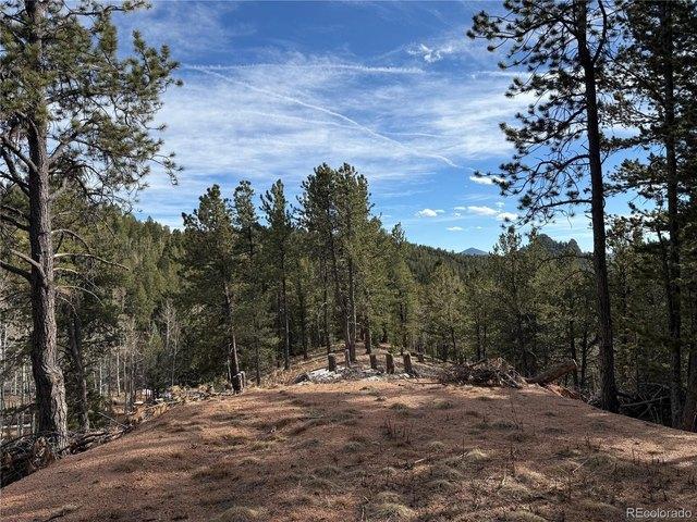 162 Eagle Dr, Divide, CO 80814