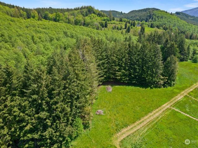 162 Owl Creek Ln, Morton, WA 98356 | MLS #2245