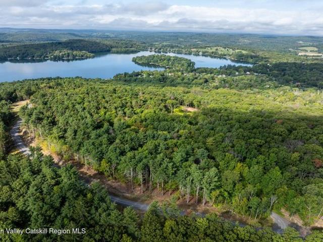 162 Lake Ridge Ln Lot 10, Copake Lake, NY 12521