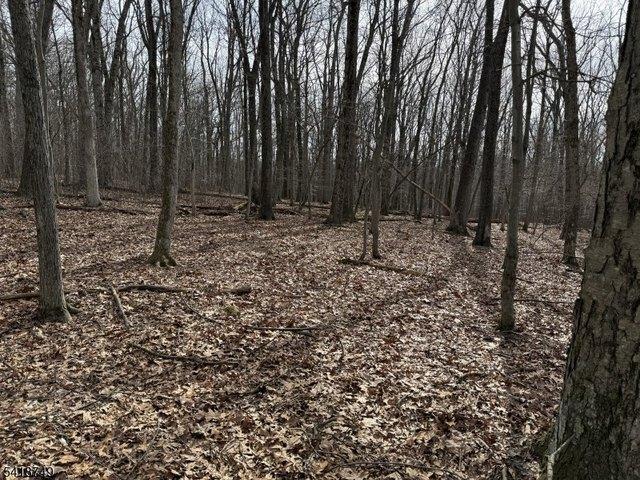162 North Rd, Chester Township, NJ 07930