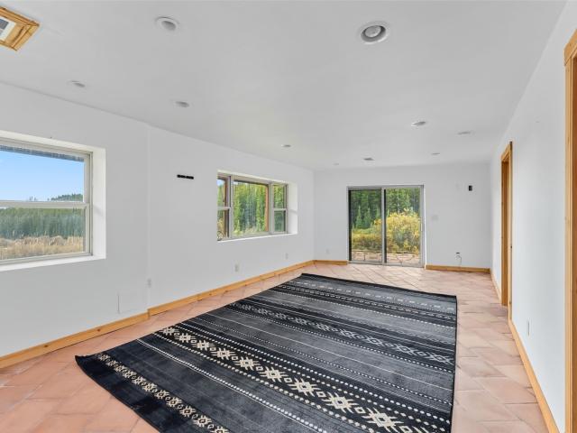 162 Silk Sisters Pl, Fairplay, CO 80440 | MLS #S1068