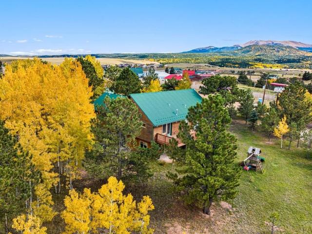 162 Ridge Top Dr, Divide, US, CO