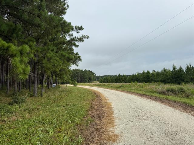 162 Taylor Trail