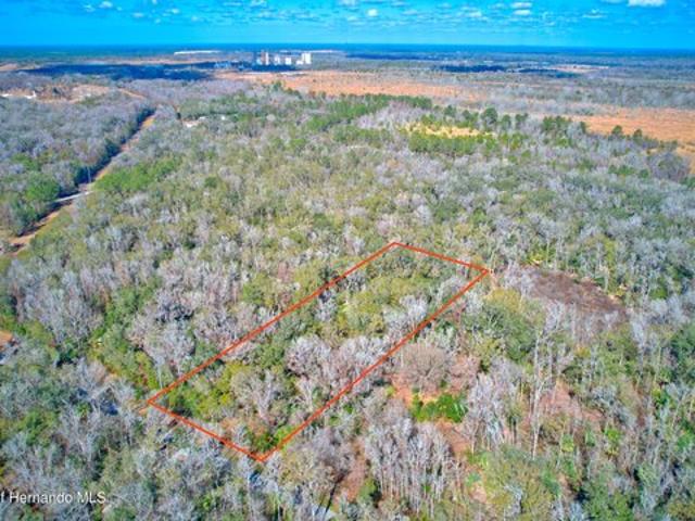16345 Budowski Rd, Brooksville, FL 34614