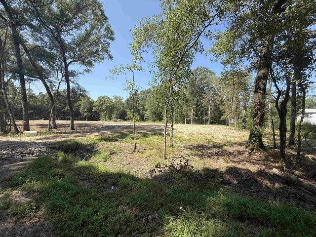 1635 Stagg St, Vidor, TX 77662