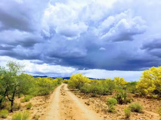 16370 W RENNER AVE, TUCSON, AZ 85736 Vacant Land For Sale MLS.