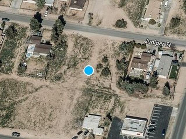 16370 Juniper