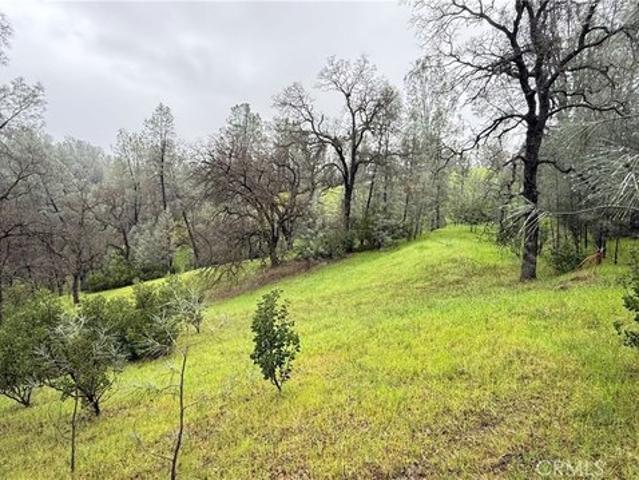16370 Oakridge Rd, Corning, CA 96021