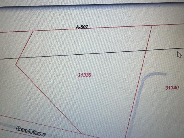 16375 Grand Flower Road