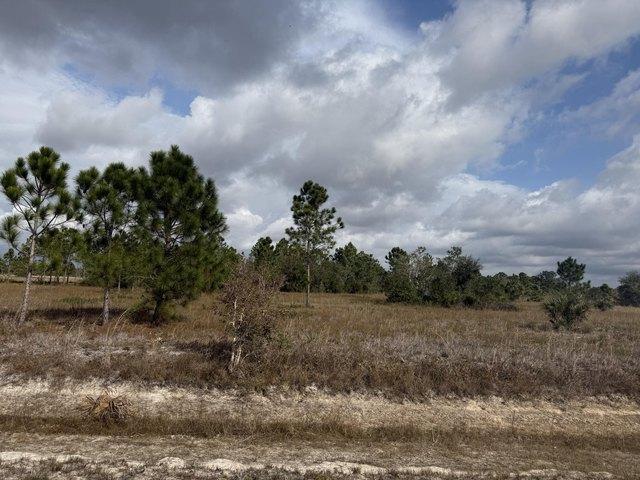 16375 NW 314th St, Okeechobee, FL 34972