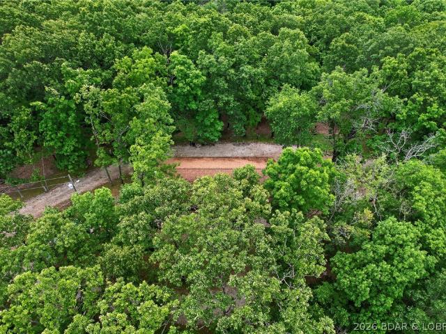 16376 Twisted Tree Road