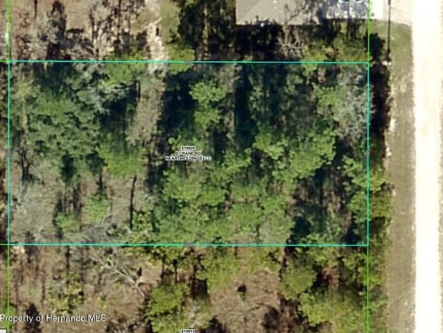16379 Crane Rd, Weeki Wachee, FL 34614
