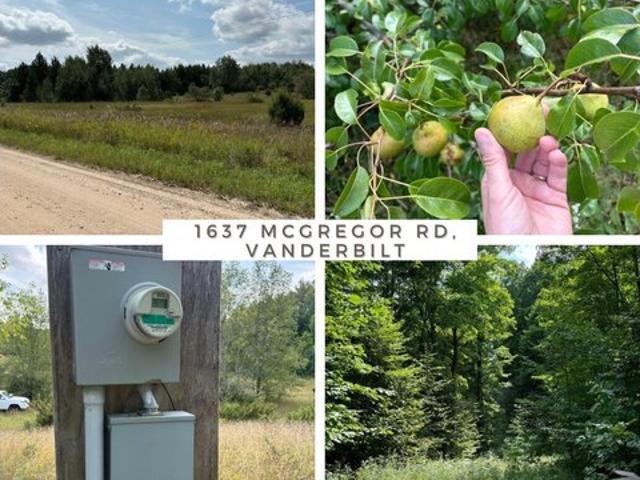 1637 McGregor Rd, Vanderbilt, MI 49795