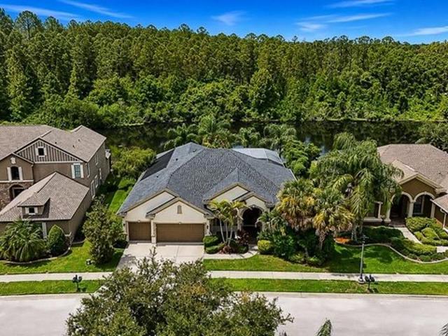 1637 Abyss Dr, Odessa, FL 33556