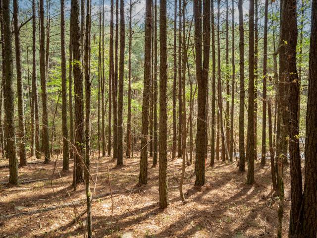 1637 Billingsley Rd, Soddy Daisy, TN 37379 | MLS #1531