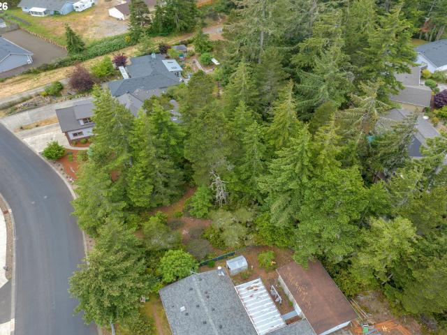 1639 willow loop