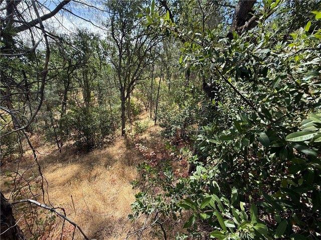 16305 Hillcrest Dr, Corning, CA 96021