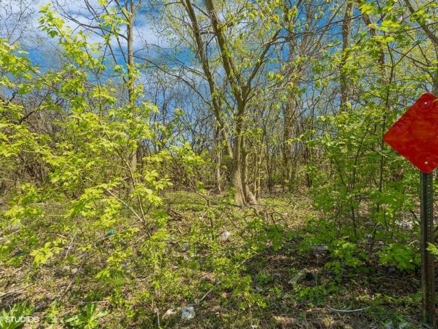 1630 Myrtle Park St, Roselle, IL 60172 | MLS #12556