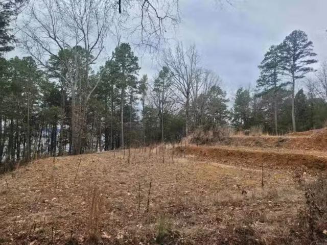 1631 FOX CHASE DR, GREERS FERRY, AR 72067 Vacant Land For Sale.