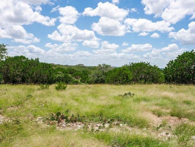1632 Link Lot 12, Doss, TX 78618