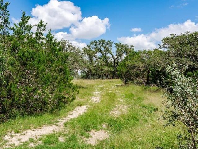 1632 Link Lot 13, Doss, TX 78618
