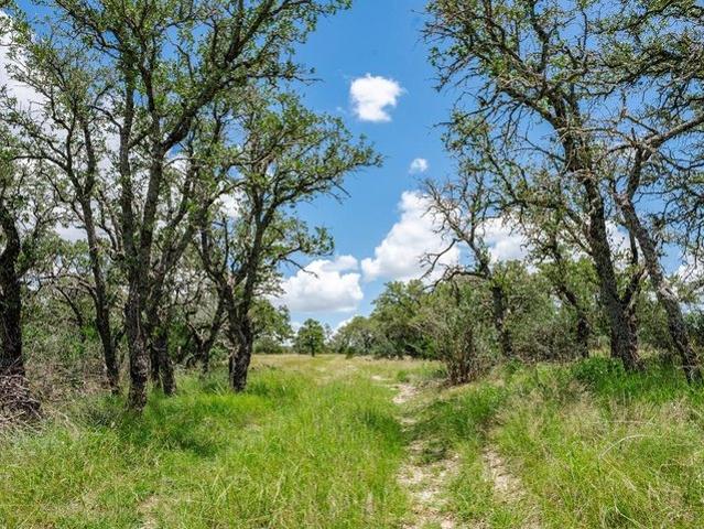 1632 Link Lot 3, Doss, TX 78618