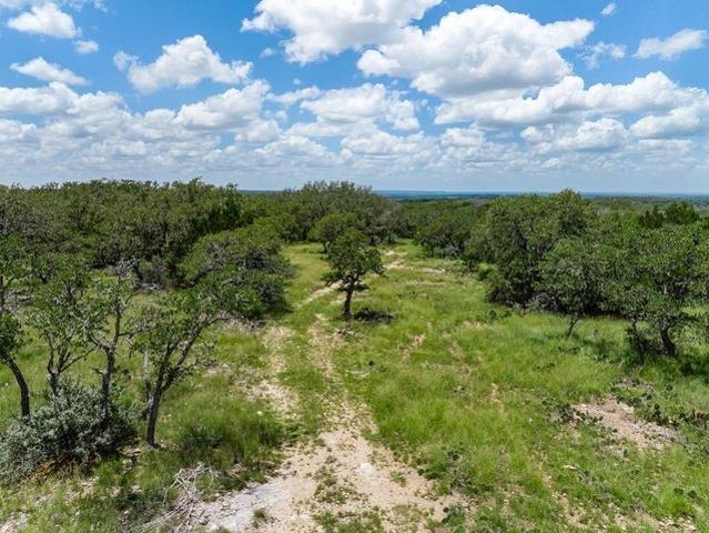1632 Link Lots 3 & 4, Doss, TX 78618