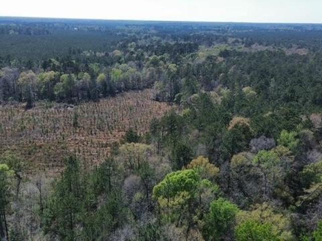 16332 Highway 96 S, Kirbyville, TX 75956