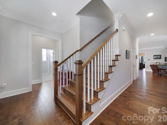 1633 Half Pint Loop