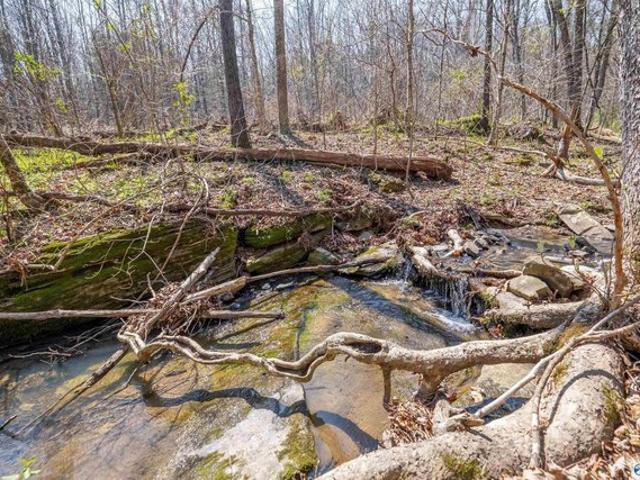 163 Acres Duck Springs Rd, Attalla, AL 35954
