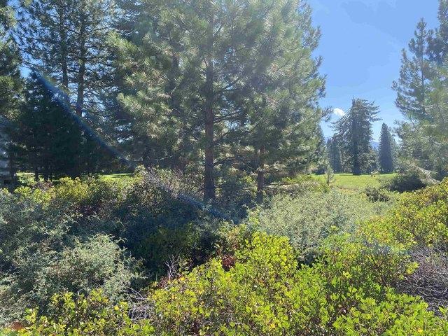 163 Flint Way, Lake Almanor, CA 96137