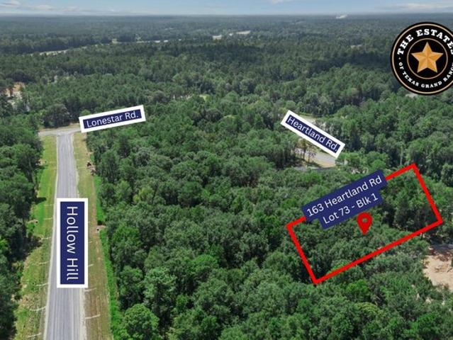 163 Heartland Rd, New Waverly, TX 77358