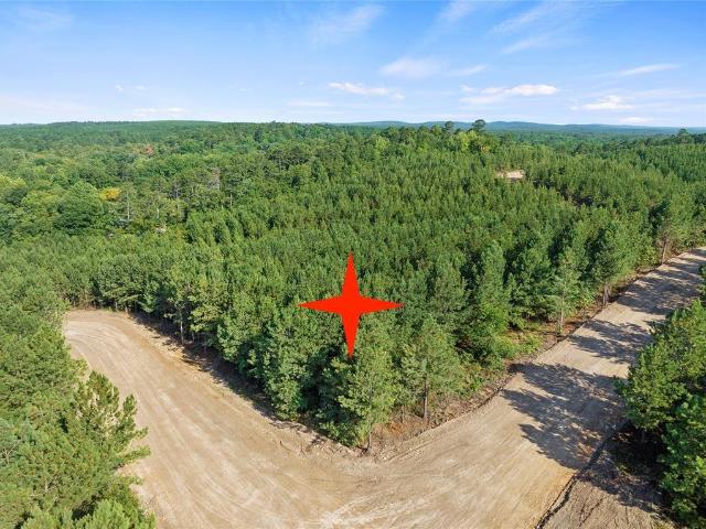 163 Legacy Pine Trail
