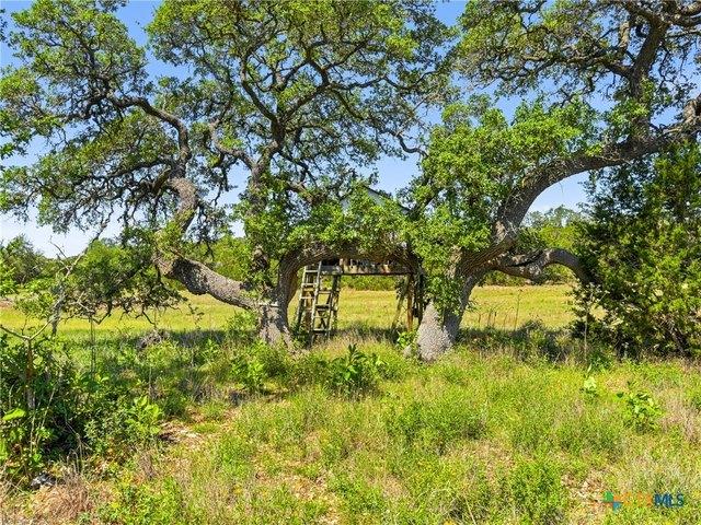 163 N Stallion Estates Dr Lot 36, Spring Branch, TX 78070