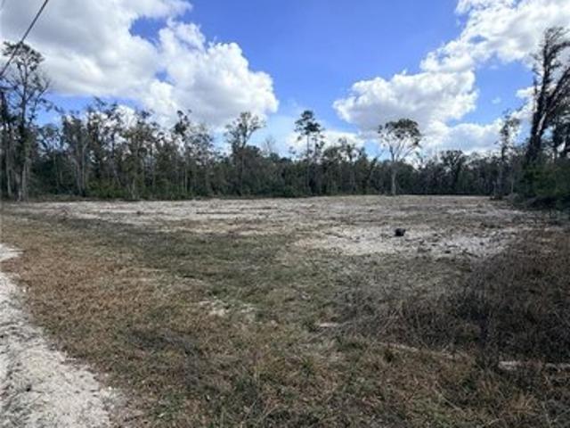 163 NE 159th Ave, Old Town, FL 32680