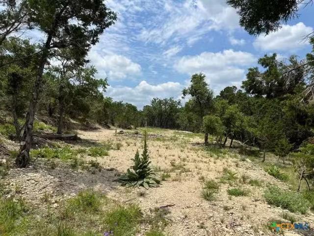163 Valley Ridge, Canyon Lake, TX 78133 MLS 547464