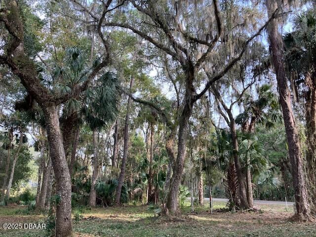 1644 Shell Harbor Rd, Pierson, FL 32180 | MLS #1214